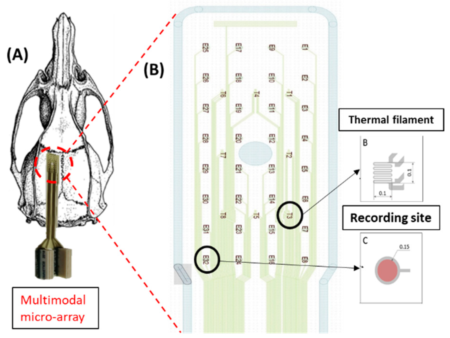Purpose-Based Filtering Approach for Neural Interfaces