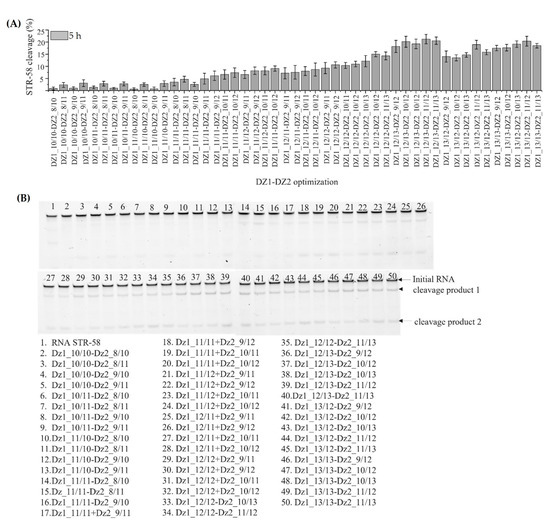 Biology and Life Sciences Forum | Free Full-Text | Bivalent System of ...