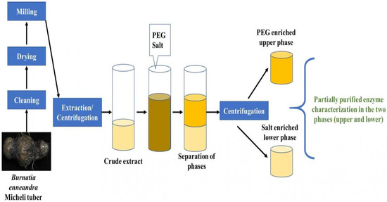 A Mini Literature Review on Current Advancements in Protein ...