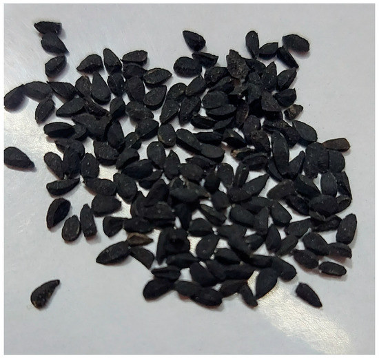 Nigella sativa: A Potential Natural Antidote for Poisoning Cases