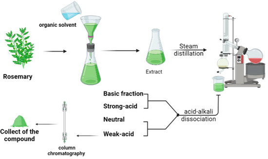Extract of Rosemary as Food Additive: The Landmark Patents
