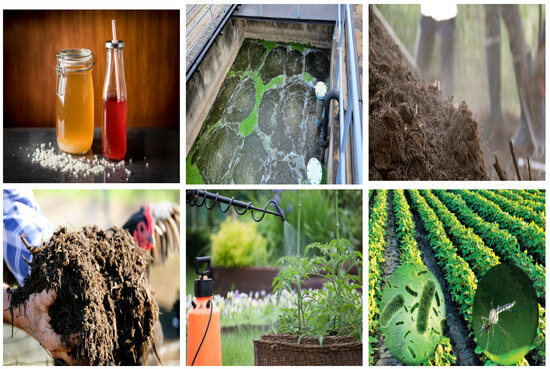 Innovative Microorganisms in Environmental Cleanup: Effective ...