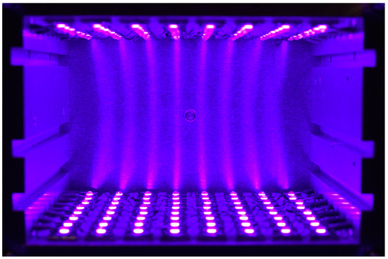 Assessment of Visible Violet Light for Hand Disinfection
