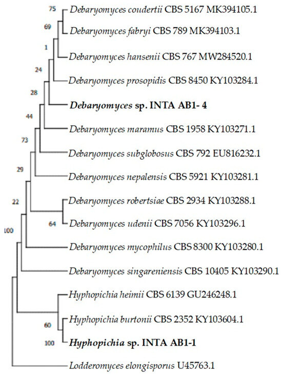 Isolation and Identification of Culturable Gut Microbiota in the Larval ...