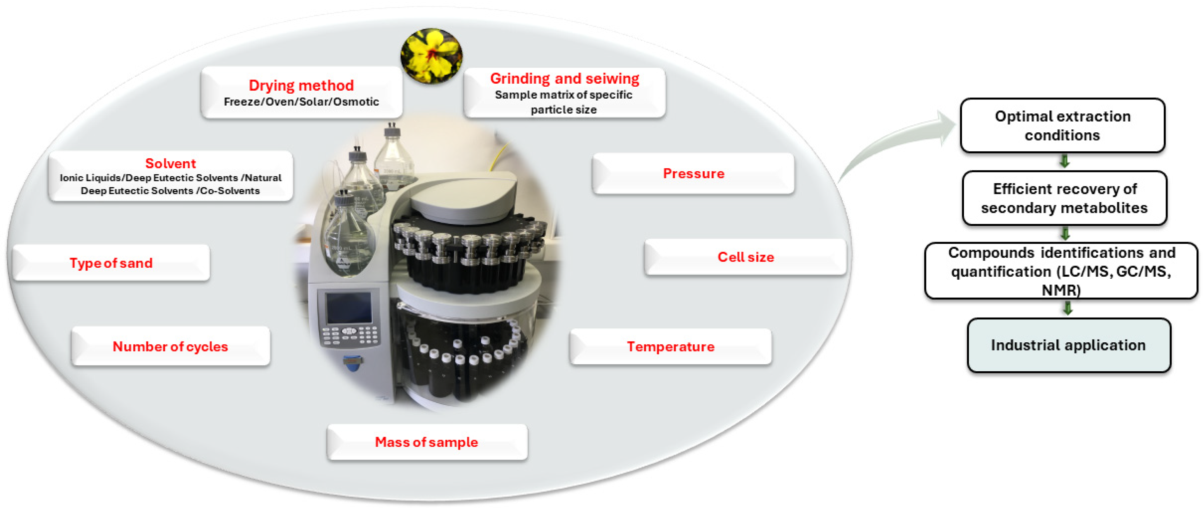 Recent Advances in Understanding the Keys Factors Influencing ...