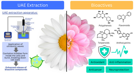 Utilization of Ultrasonic-Assisted Extraction for Bioactive Compounds from Floral Sources