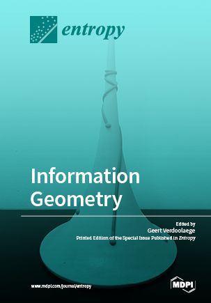 Information Geometry | MDPI Books