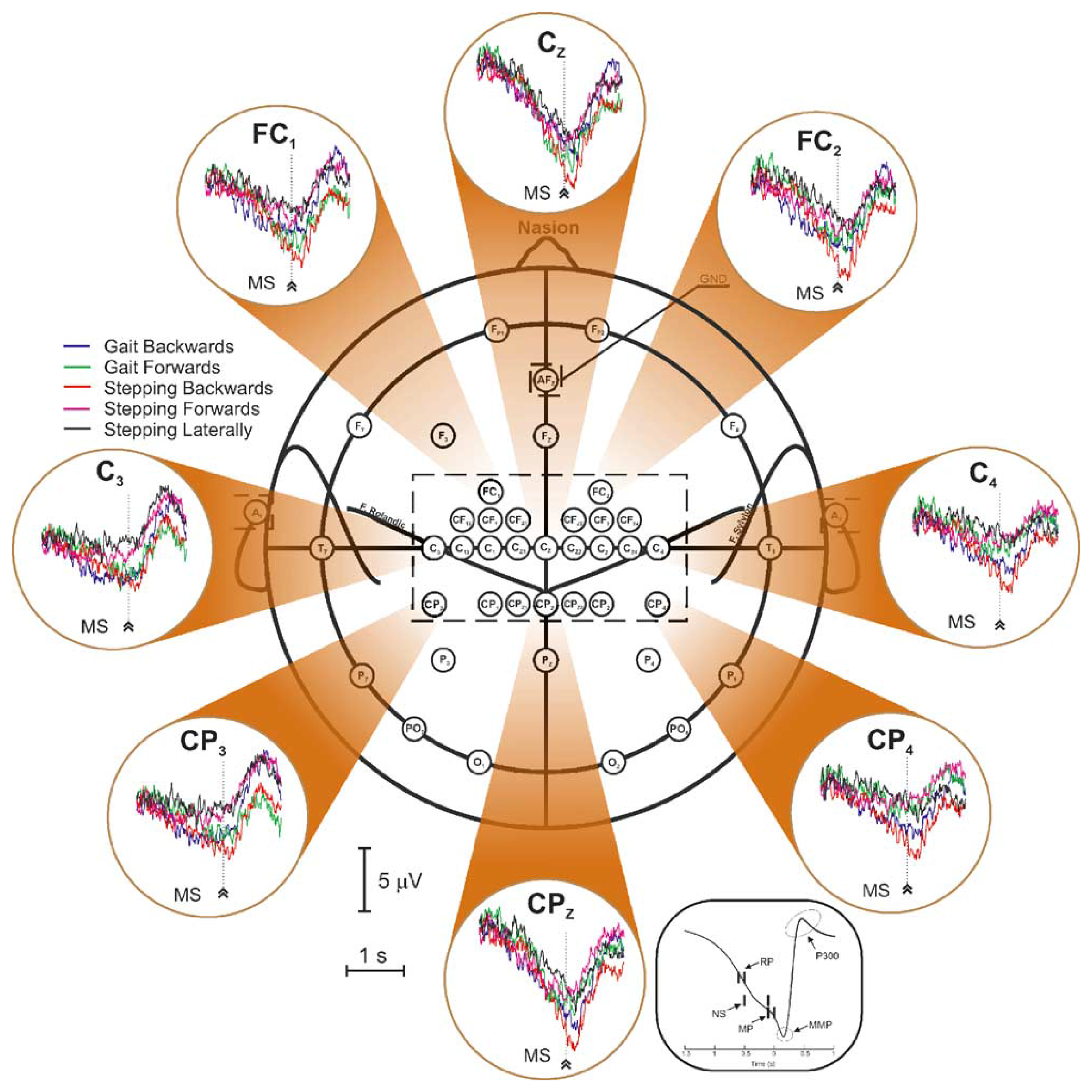 Brain Sciences | Free Full-Text | Towards Effective Non-Invasive Brain ...
