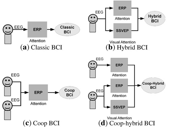 Correction: Cecotti, H. and Rivet, B. Subject Combination and Electrode ...