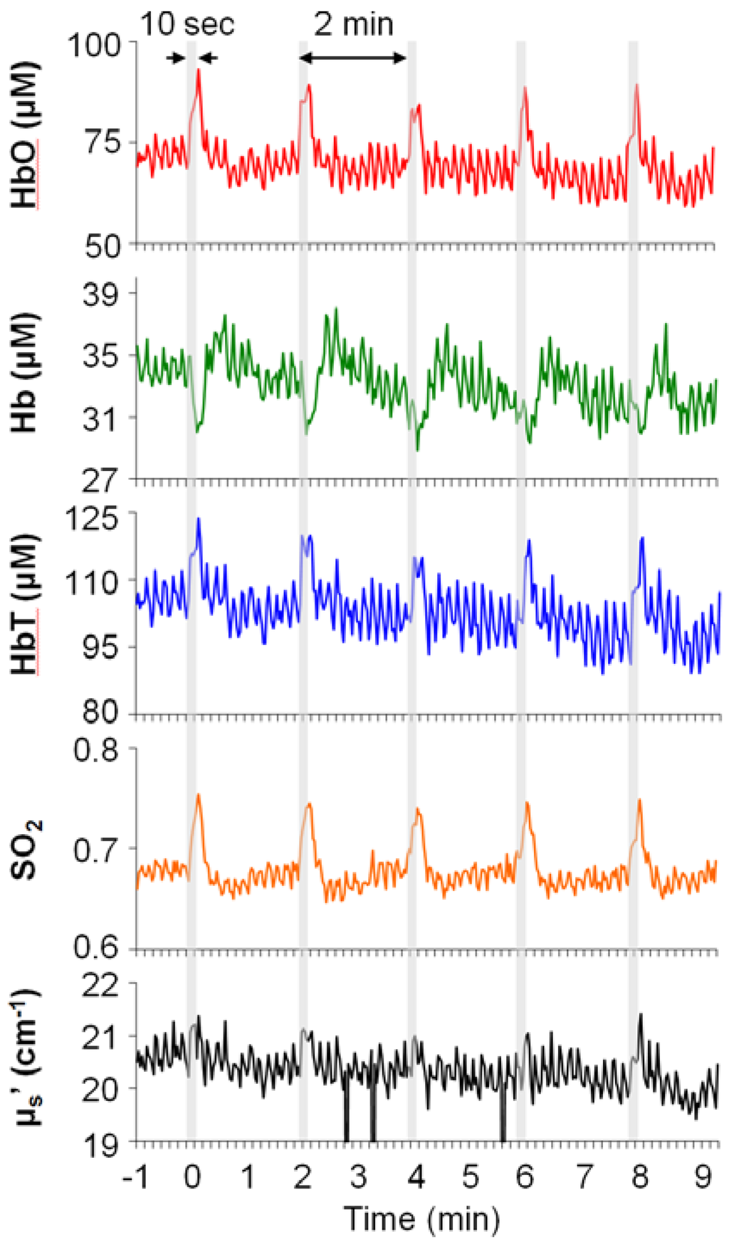 Brain Sciences | Free Full-Text | Hemodynamic and Light-Scattering ...