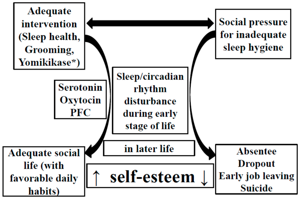 Neural Basis of Brain Dysfunction Produced by Early Sleep Problems