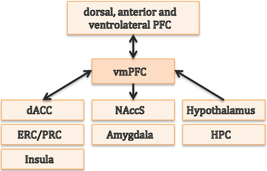 The Interplay of Hippocampus and Ventromedial Prefrontal Cortex in ...
