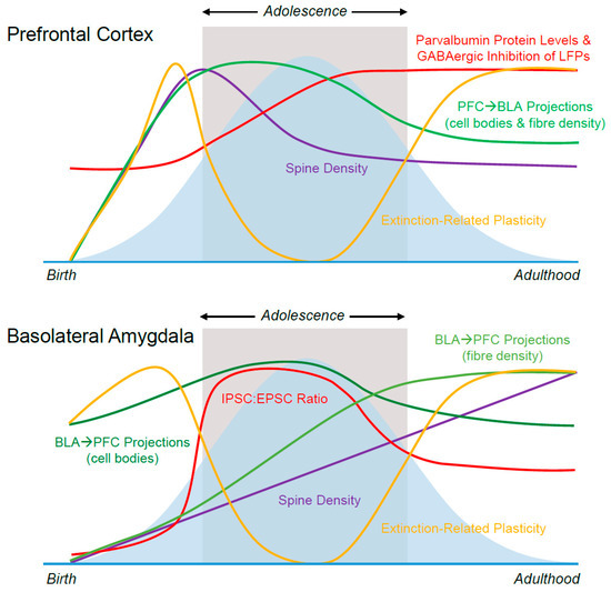 Brain Sciences | Special Issue : The Multi-Dimensional Contributions of ...