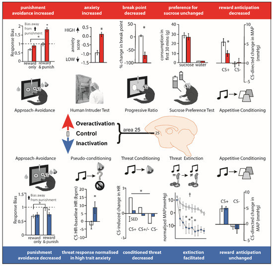 Brain Sciences | Free Full-Text | A Focus on the Functions of Area 25