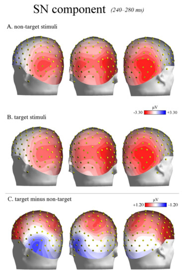 Brain Sciences | Special Issue : ERP and EEG Markers of Brain Visual ...