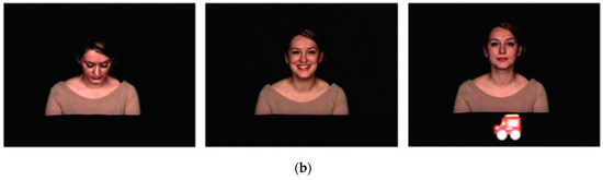 How Attention to Faces and Objects Changes Over Time in Toddlers with ...