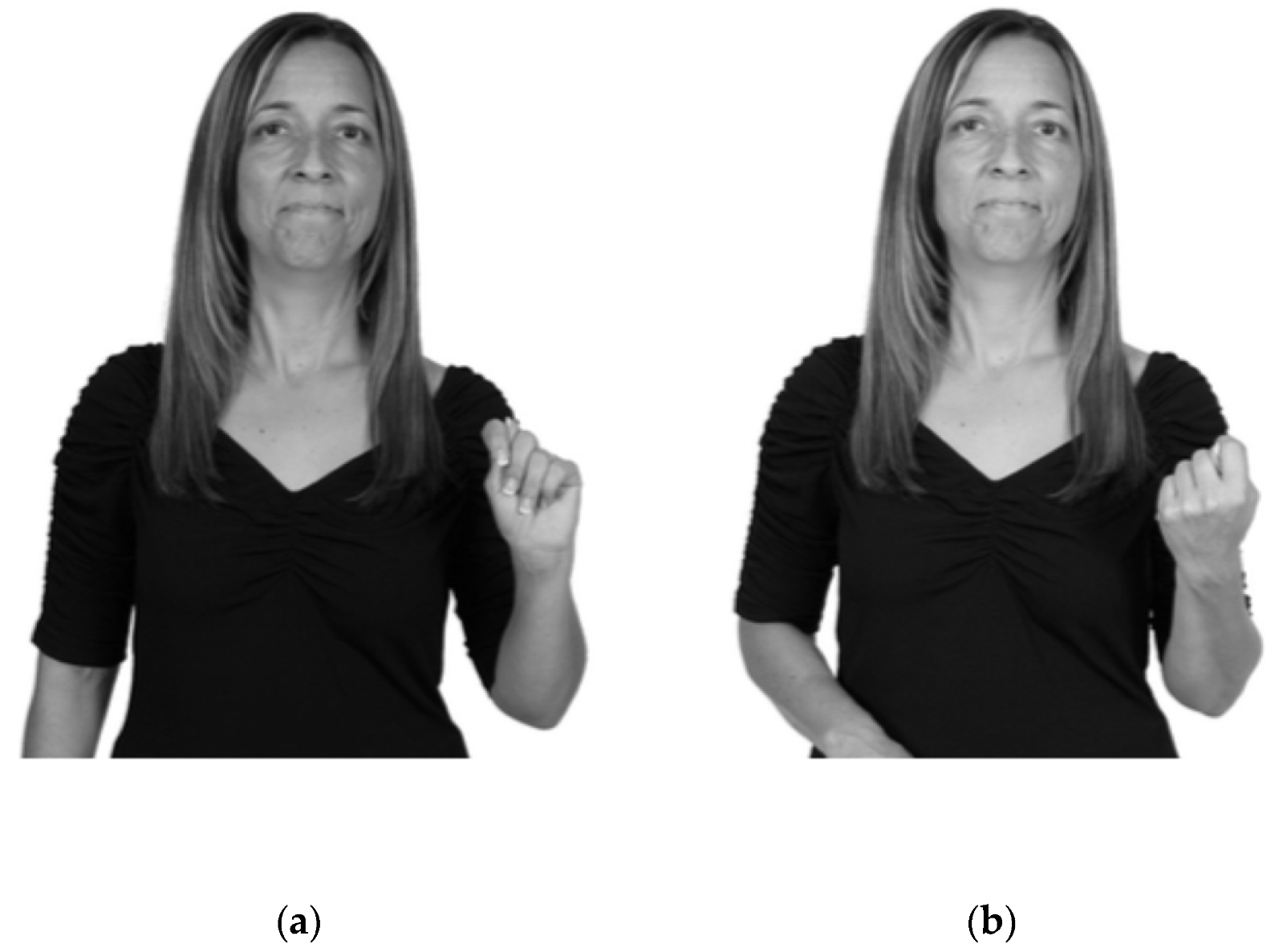 The Source of Palm Orientation Errors in the Signing of Children with ...