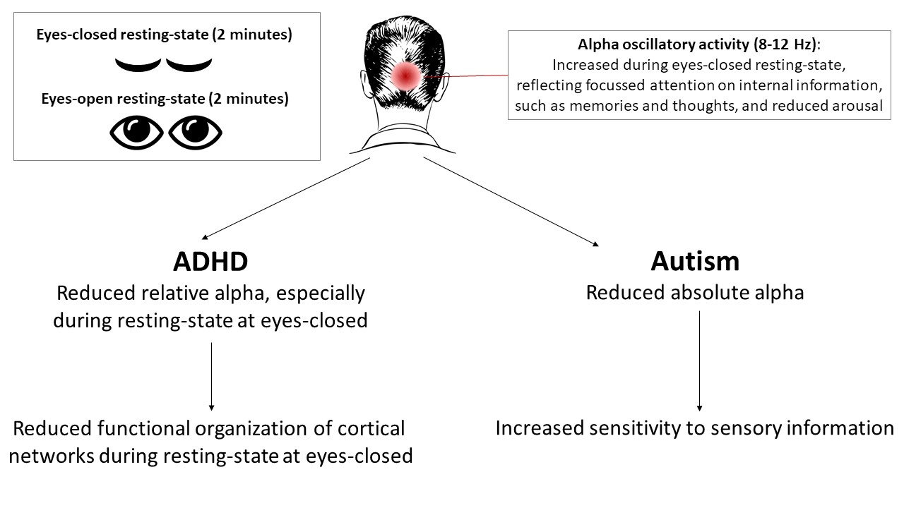 Brain Sciences | Free Full-Text | Atypical Electrophysiological Indices ...