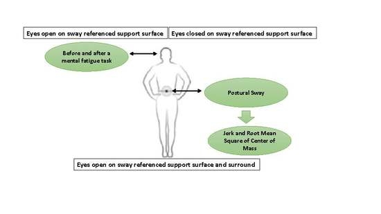 Brain Sciences | Special Issue : Balance Rehabilitation in Neurological ...