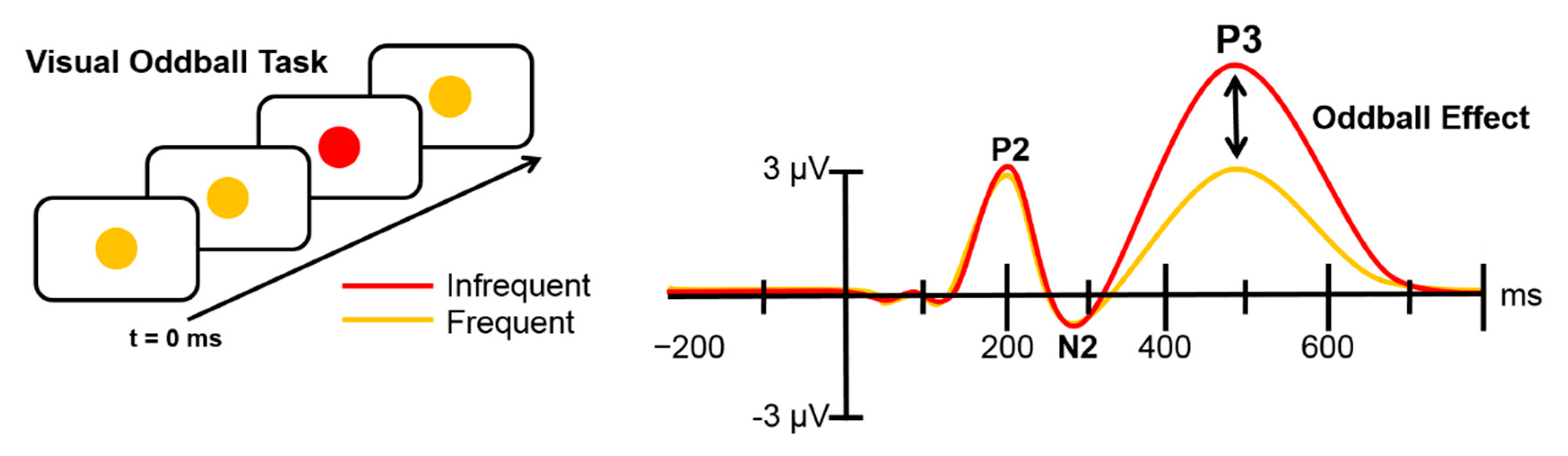 Brain Sciences | Free Full-Text | The Effect of Transcutaneous Auricular Vagal Nerve Stimulation ...
