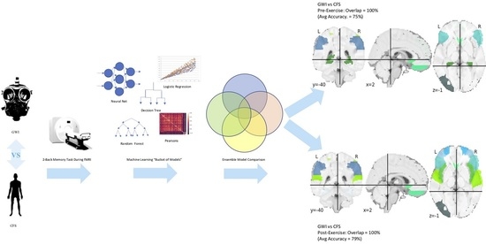 Brain Sciences | Special Issue : Human Brain Dynamics: Latest Advances ...