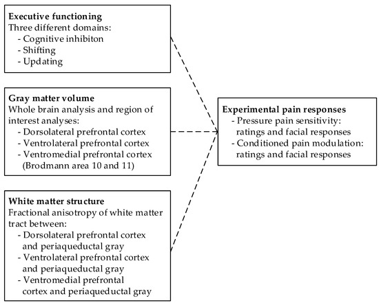Pain Processing in Older Adults and Its Association with Prefrontal ...