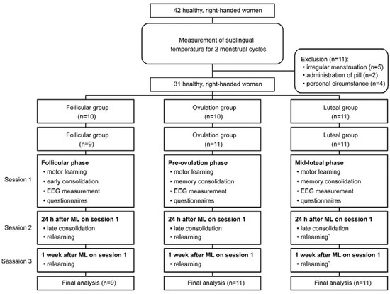 Menstrual Cycle Modulates Motor Learning and Memory Consolidation in Humans