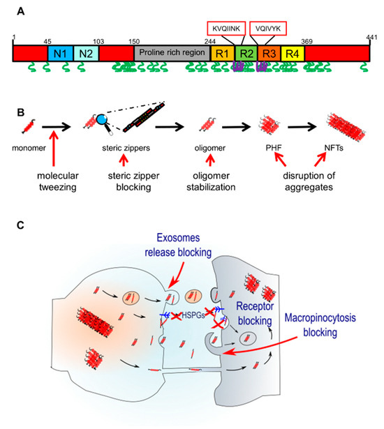 Brain Sciences | Free Full-Text | Pharmacological Modulators of Tau ...