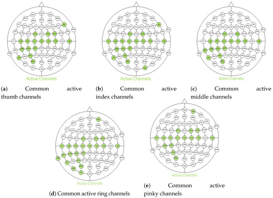 EEG-Based BCI System to Detect Fingers Movements