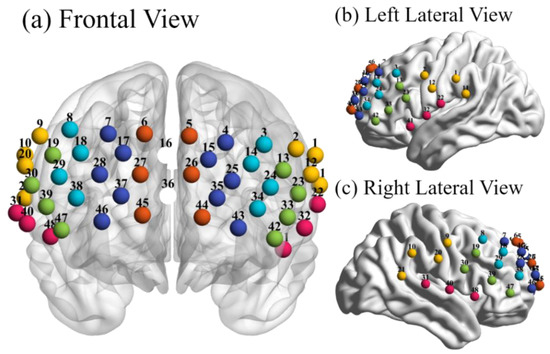 The Development of Brain Network in Males with Autism Spectrum ...