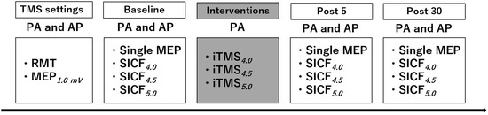 Brain Sciences | Special Issue : Transcranial Magnetic Stimulation (TMS ...