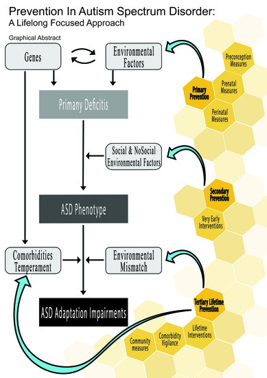 Brain Sciences | Free Full-Text | Prevention in Autism Spectrum ...