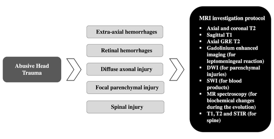 Brain Sciences | Special Issue : Prevention and Intervention for ...