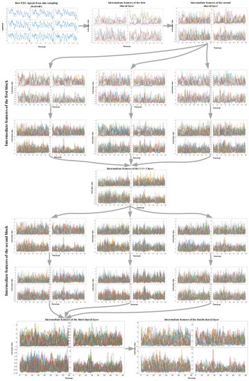 A Densely Connected Multi-Branch 3D Convolutional Neural Network for ...