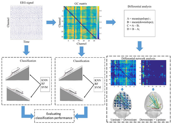 Rat Locomotion Detection Based on Brain Functional Directed ...