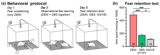 Observational Fear Learning in Rats: Role of Trait Anxiety and ...