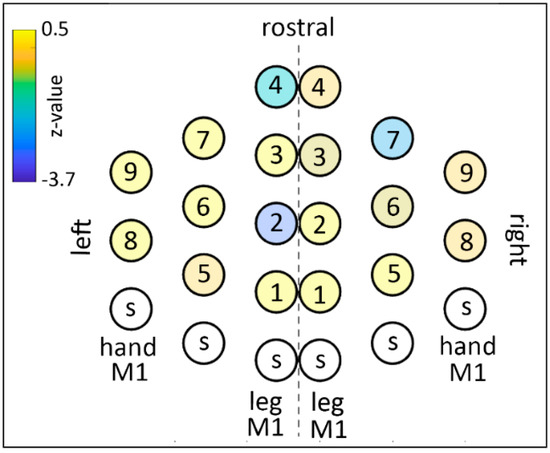 Brain Sciences | Special Issue : How Does Motor Inhibitory Control ...