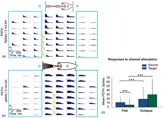 Experimental Platform to Study Spiking Pattern Propagation in Modular ...