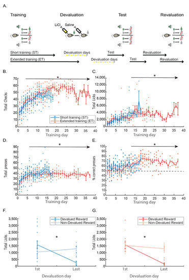 Brain Sciences | Special Issue : Cognitive and Behavioral Patterns ...