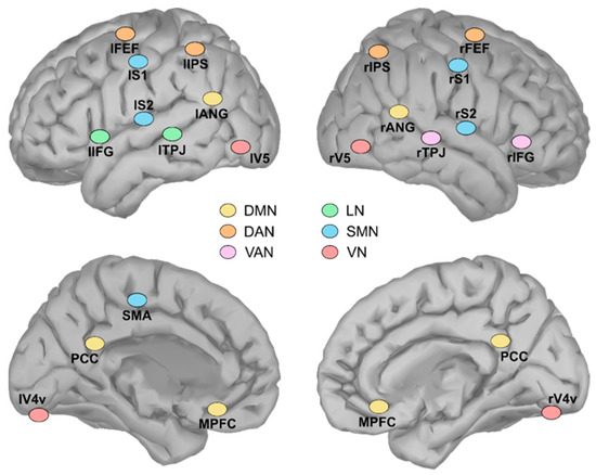 Brain Sciences | Free Full-Text | Detection of Resting-State Functional ...