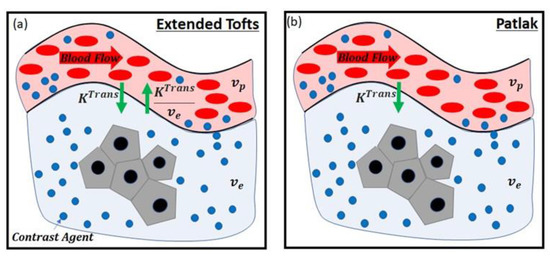 The Use of Dynamic Contrast-Enhanced Magnetic Resonance Imaging for the ...