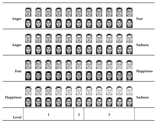 Efficacy of Facial Exercises in Facial Expression Categorization in ...