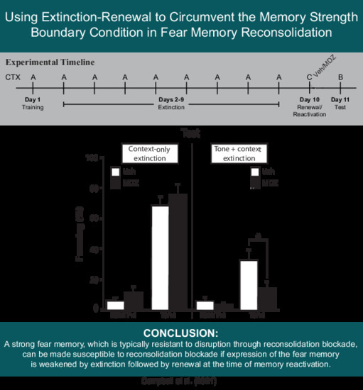 Brain Sciences | Special Issue : Neurobiology of Fear: From Basic ...