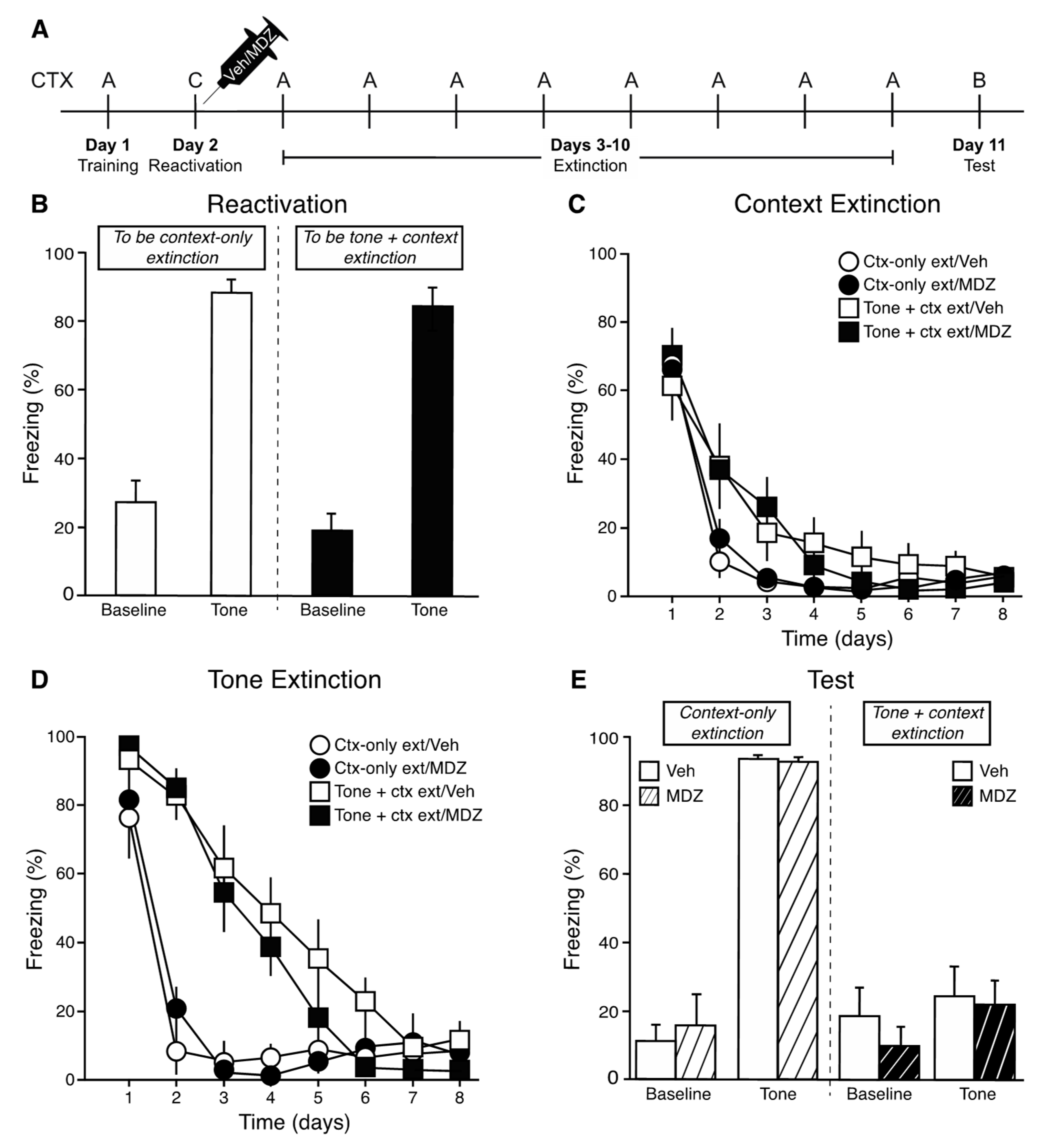 Brain Sciences | Free Full-Text | Using Extinction-Renewal to ...