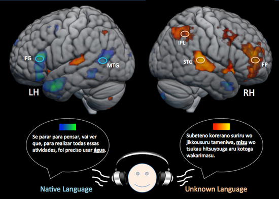 Brain Sciences | Free Full-Text | Engagement of Language and Domain ...