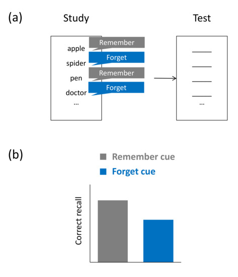 The Mechanisms Underlying Interference and Inhibition: A Review of ...