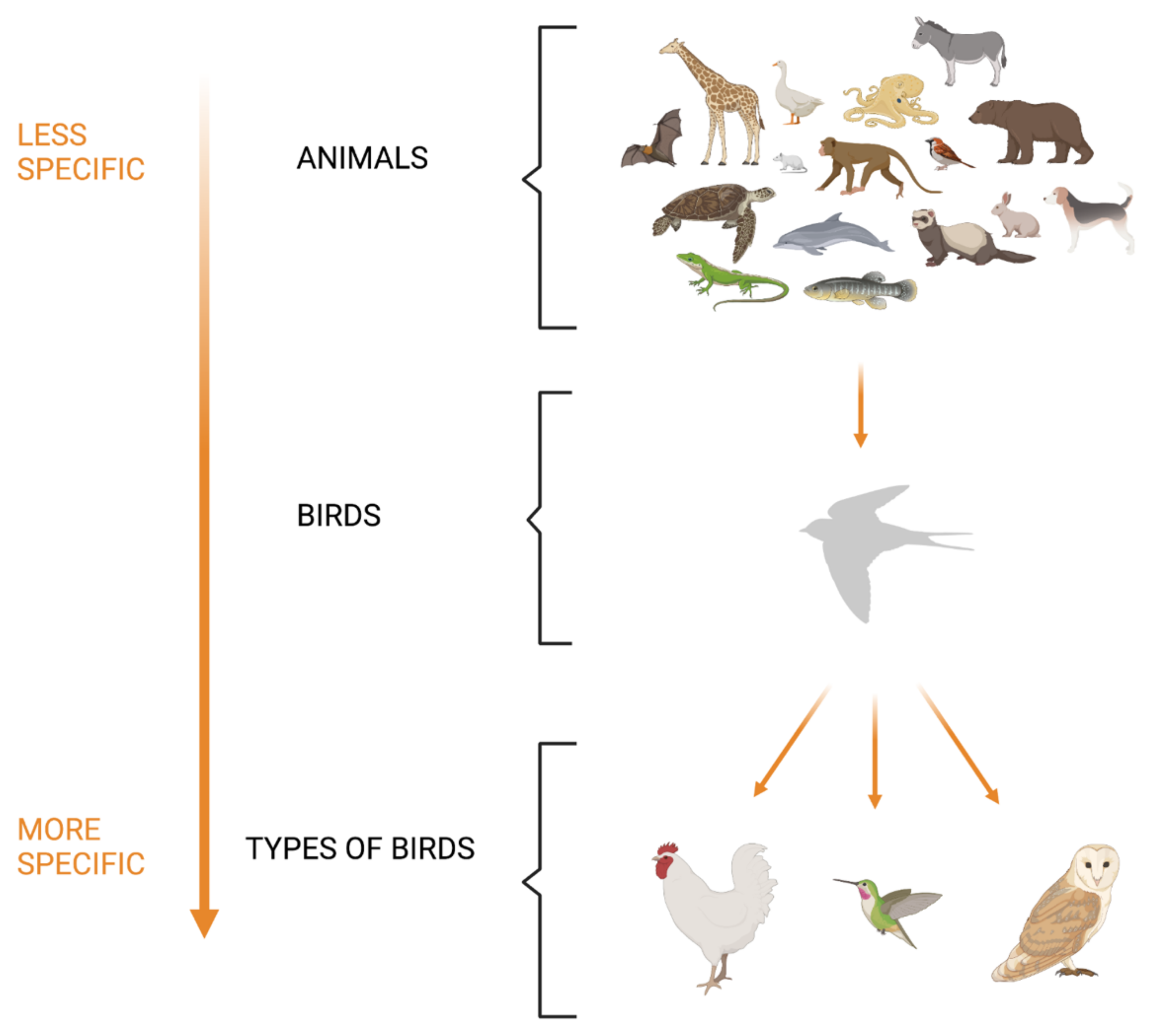 Semantic Variant Primary Progressive Aphasia: Practical Recommendations ...