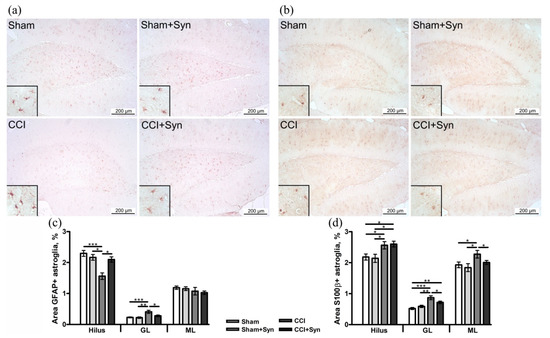 Modulation of Hippocampal Astroglial Activity by Synaptamide in Rats ...