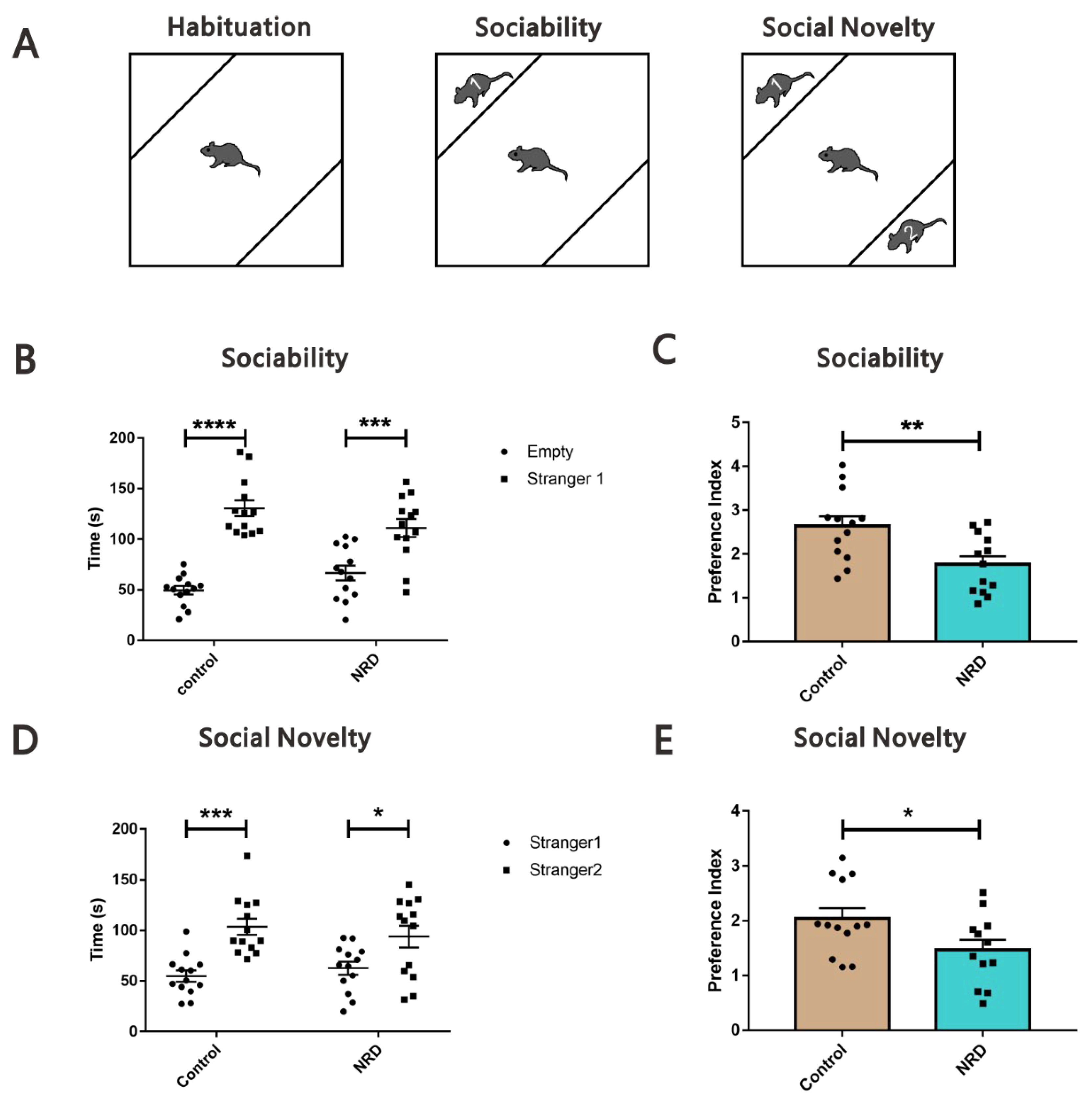 Effect of Sensory Deprivation of Nasal Respiratory on Behavior of C57BL ...