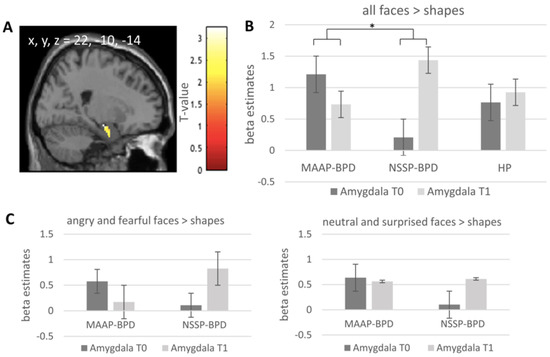 Brain Sciences | Special Issue : Dimensions of Pathological Aggression ...